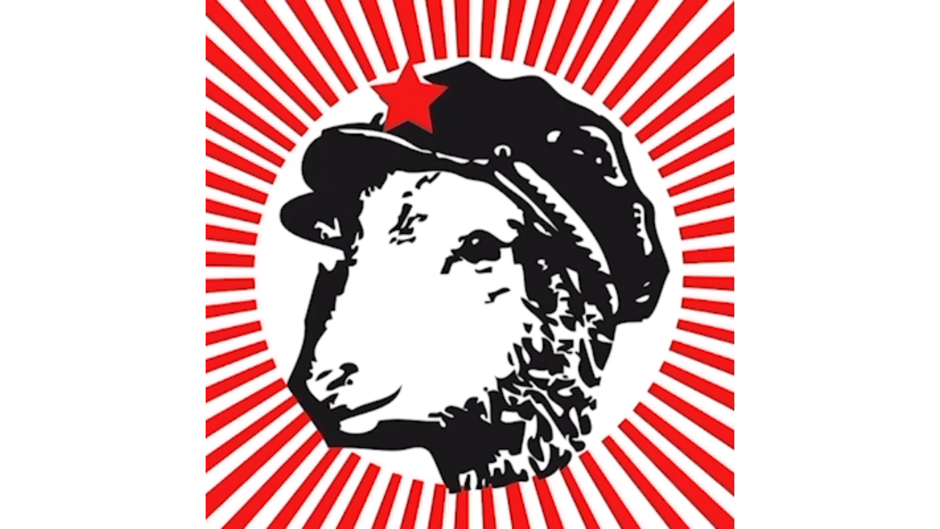 eBent 10 anys en acció (N)